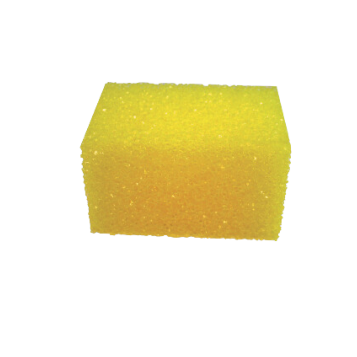 Do All Scrubber Brick Bug Sponge – Pro Detail
